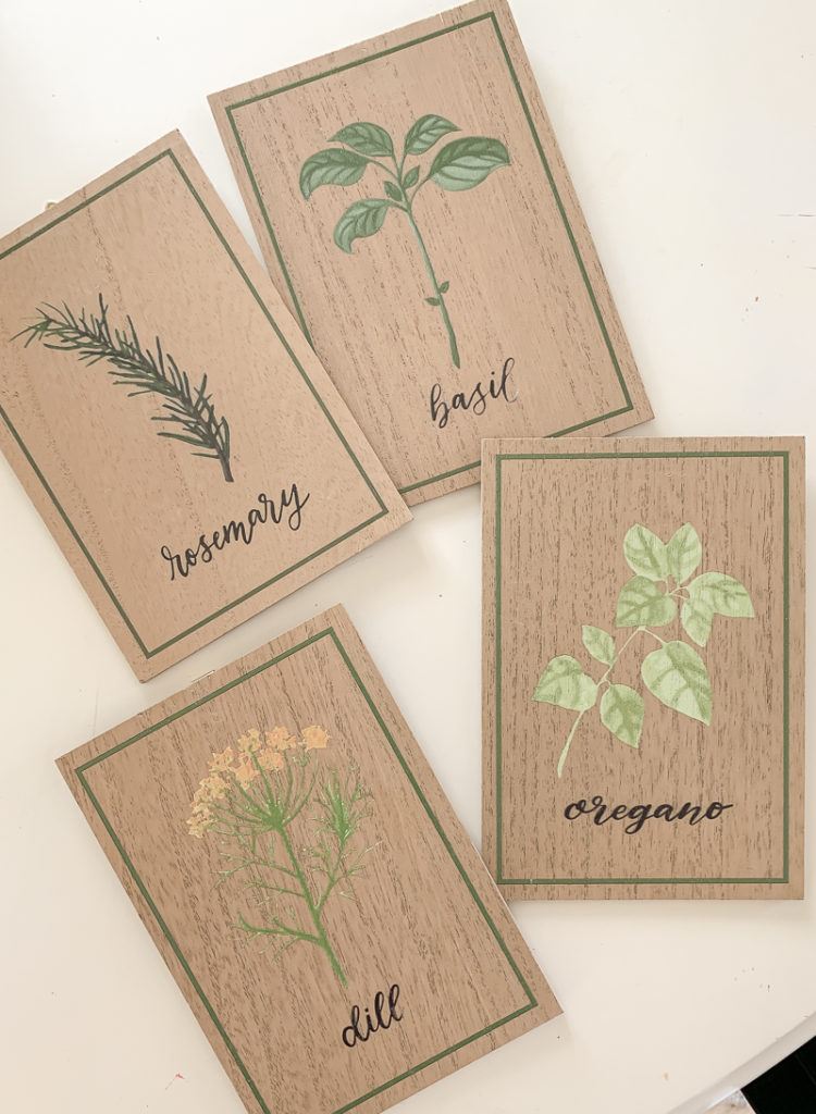 Easy DIY Botanical Art - Sarah Joy