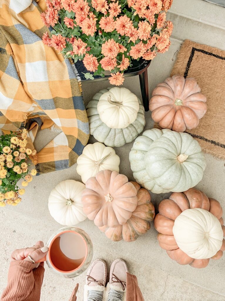 The Friday Five: Apple Cobbler + Fall Clothing from Target - Sarah Joy