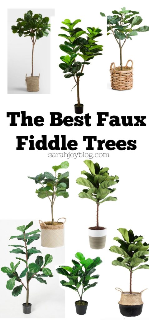 How To Take Care of a Fiddle Leaf Tree + Great Faux Options! - Sarah Joy