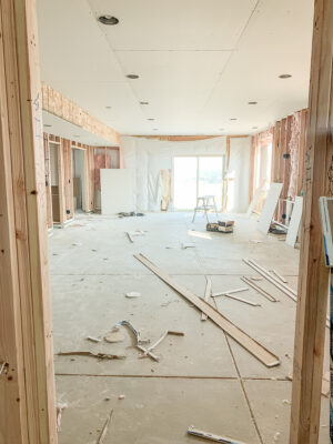 Basement Progress Update - Sarah Joy