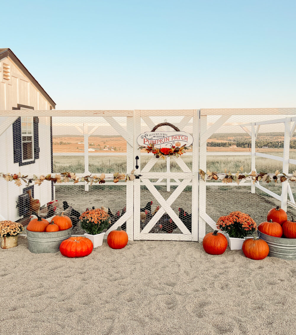 Chicken Coop Decorated for Fall - Sarah Joy