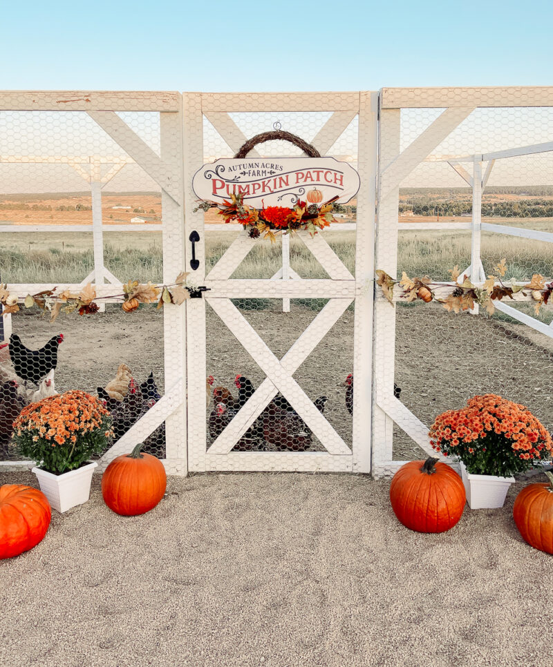 Chicken Coop Decorated for Fall - Sarah Joy