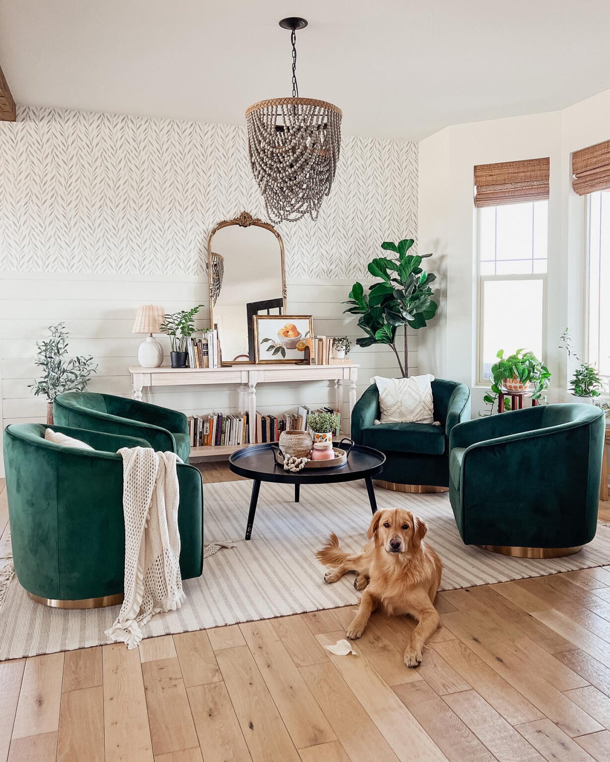 New Reading Room Look - Sarah Joy