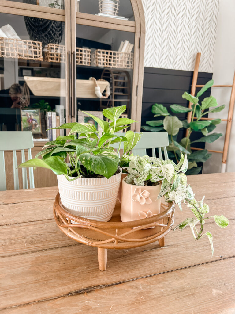 My Favorite Boho Style Planters - Sarah Joy