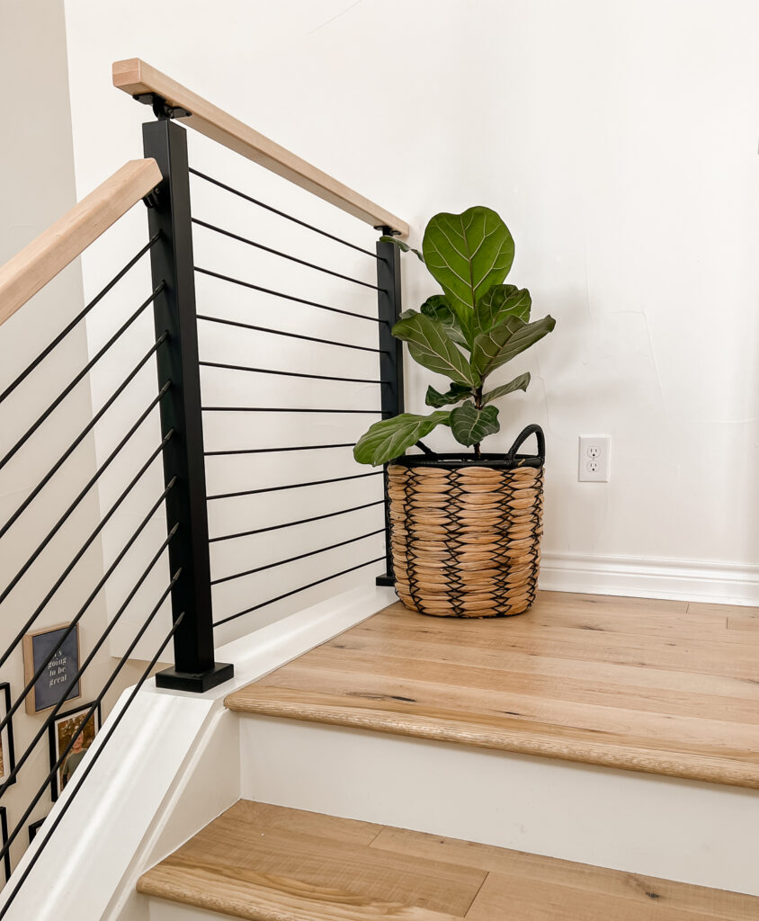 My Favorite Boho Style Planters - Sarah Joy