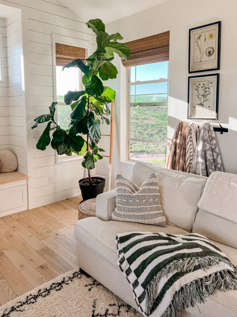 How to Take Care of a Fiddle Leaf Tree - Sarah Joy