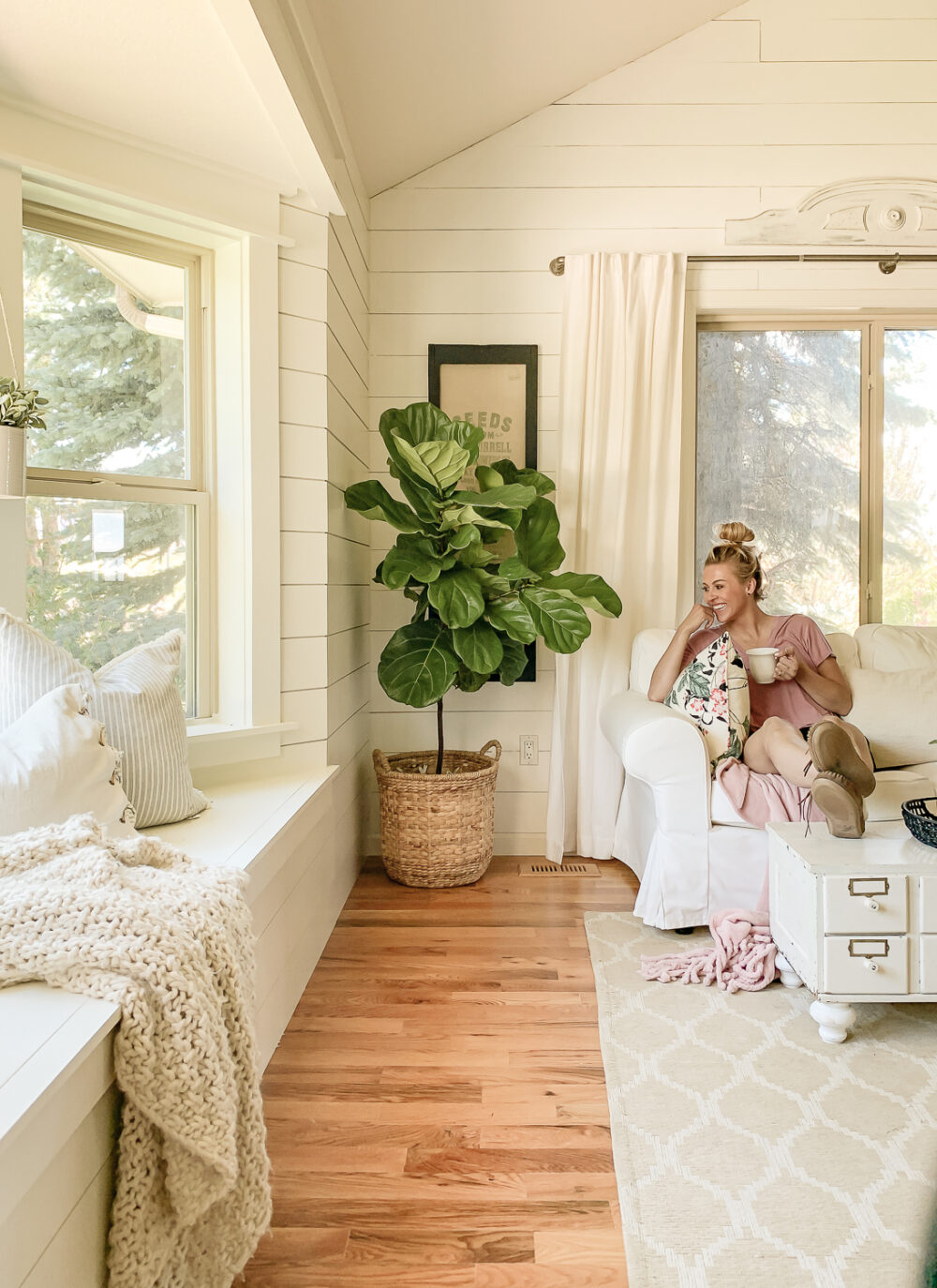 How to Take Care of a Fiddle Leaf Tree - Sarah Joy