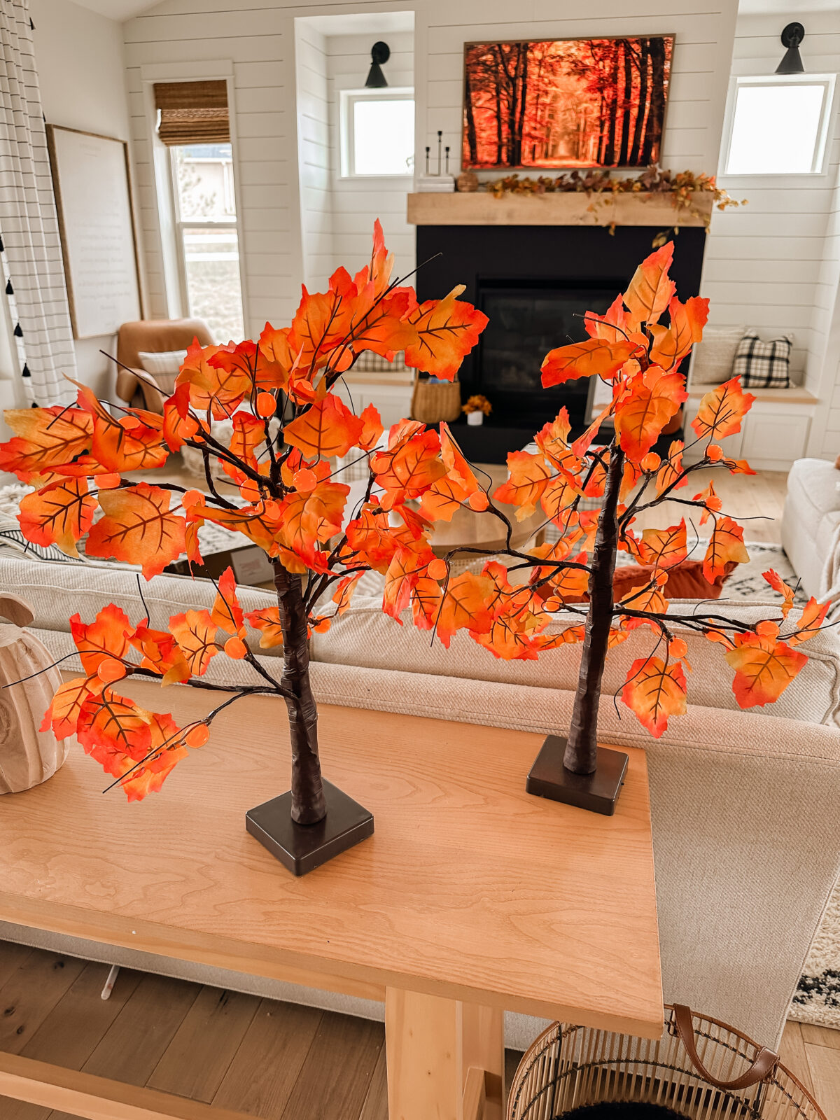 Light Up Trees for Fall from Amazon - Sarah Joy