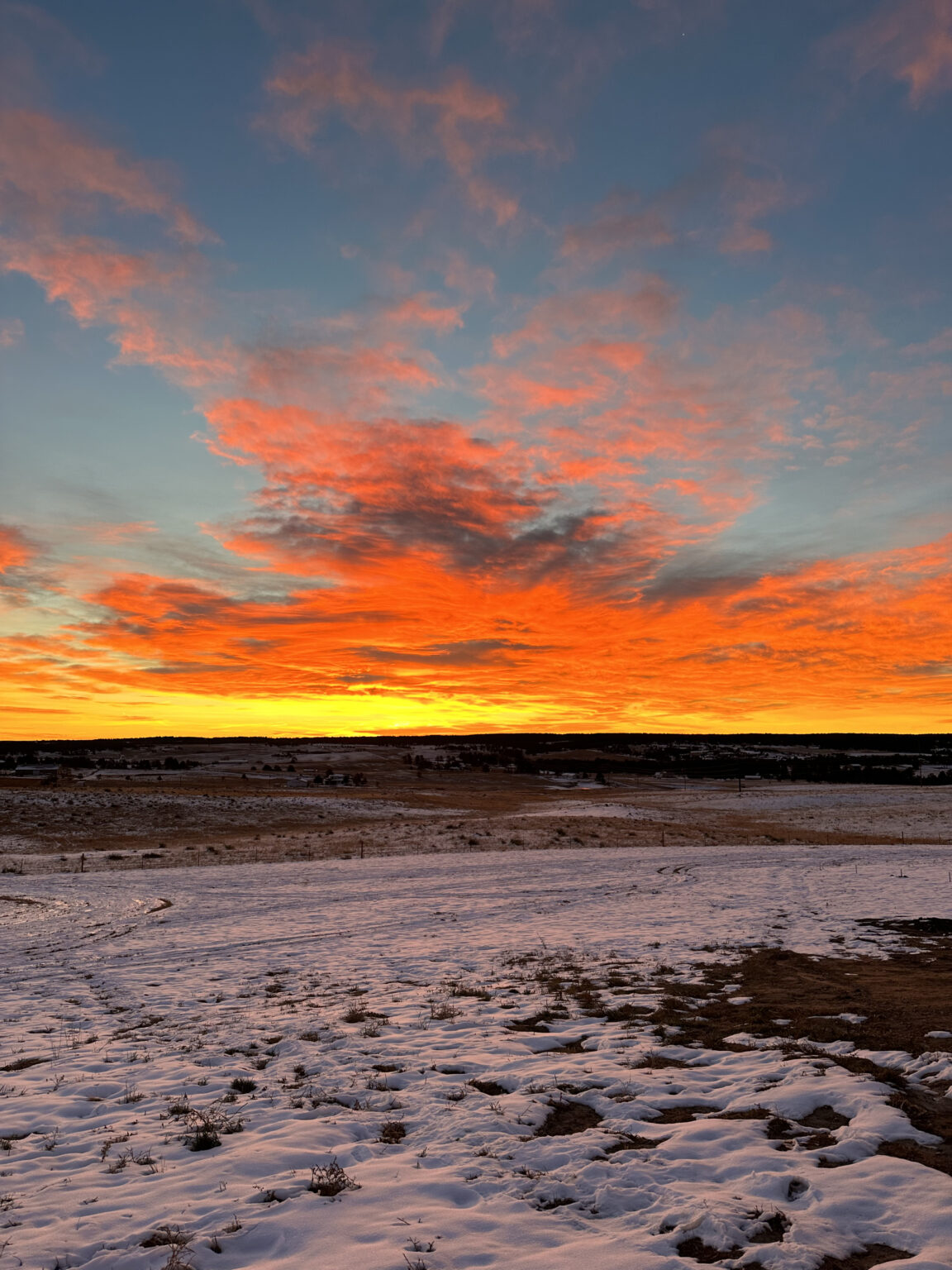 Devotional: Uproot the Weeds - Sarah Joy